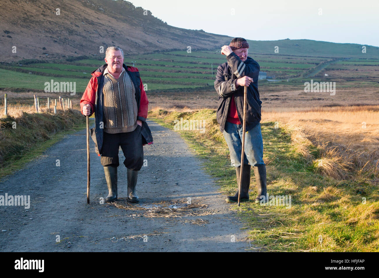 Irish farmers on country lane waiting for their hunting dogs, Valentia Island, County Kerry ...
