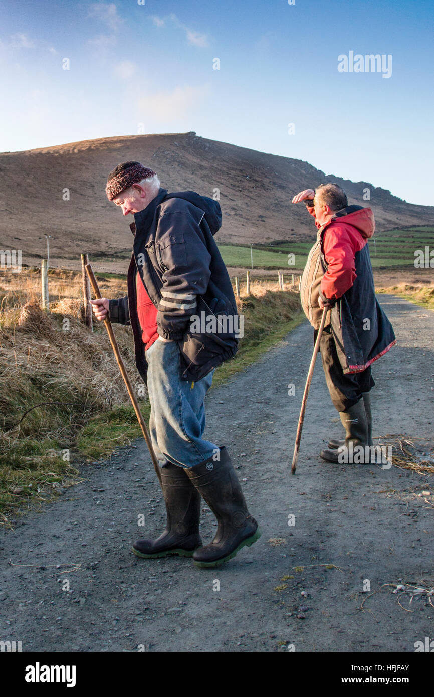 Irish farmers on country lane waiting for their hunting dogs, Valentia Island, County Kerry ...