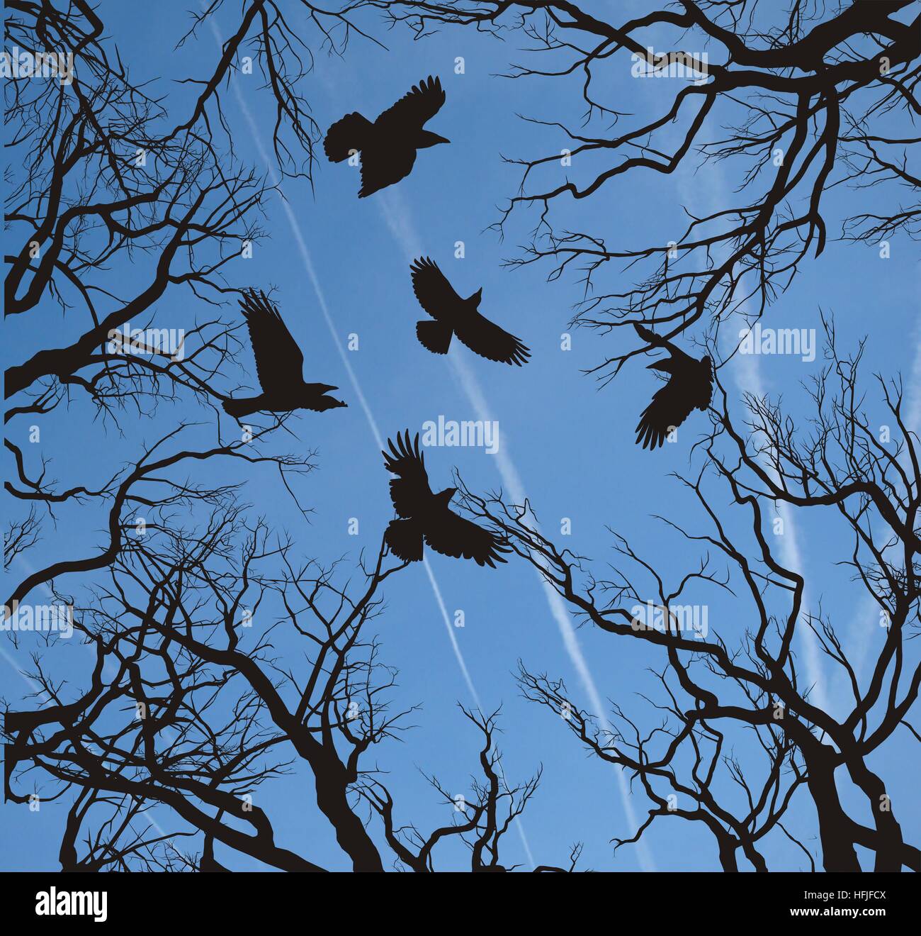 Trees and crows flying in the sky Stock Photo - Alamy