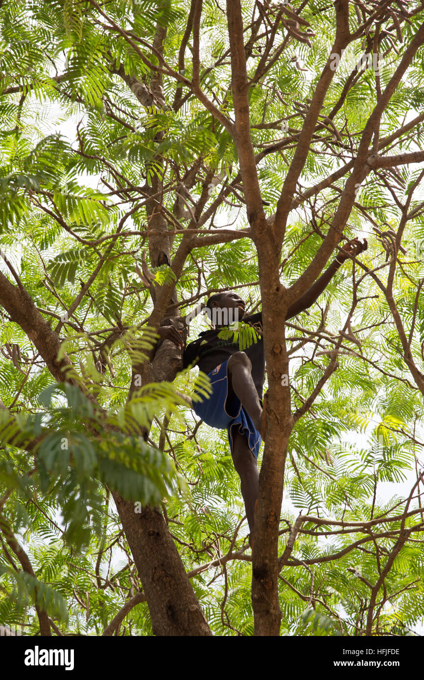 Activity pods hi-res stock photography and images - Alamy