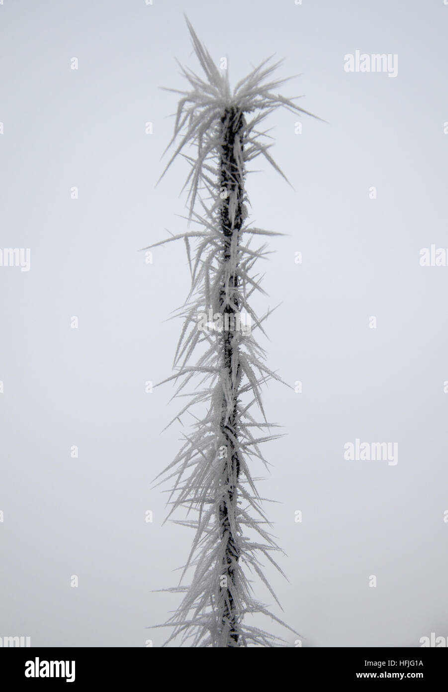 Kalte luft hi-res stock photography and images - Alamy