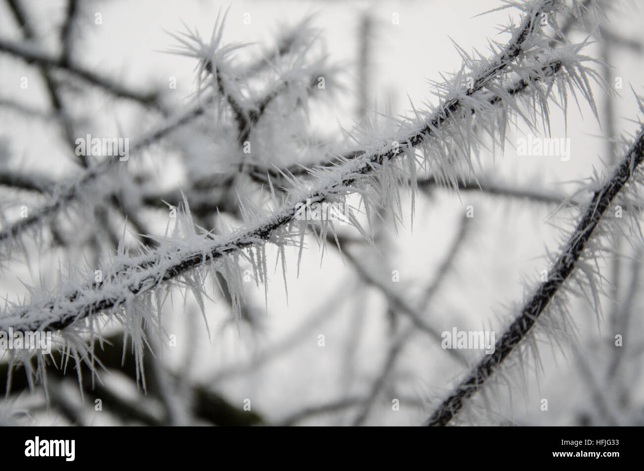 Gefroren frozen hi-res stock photography and images - Alamy
