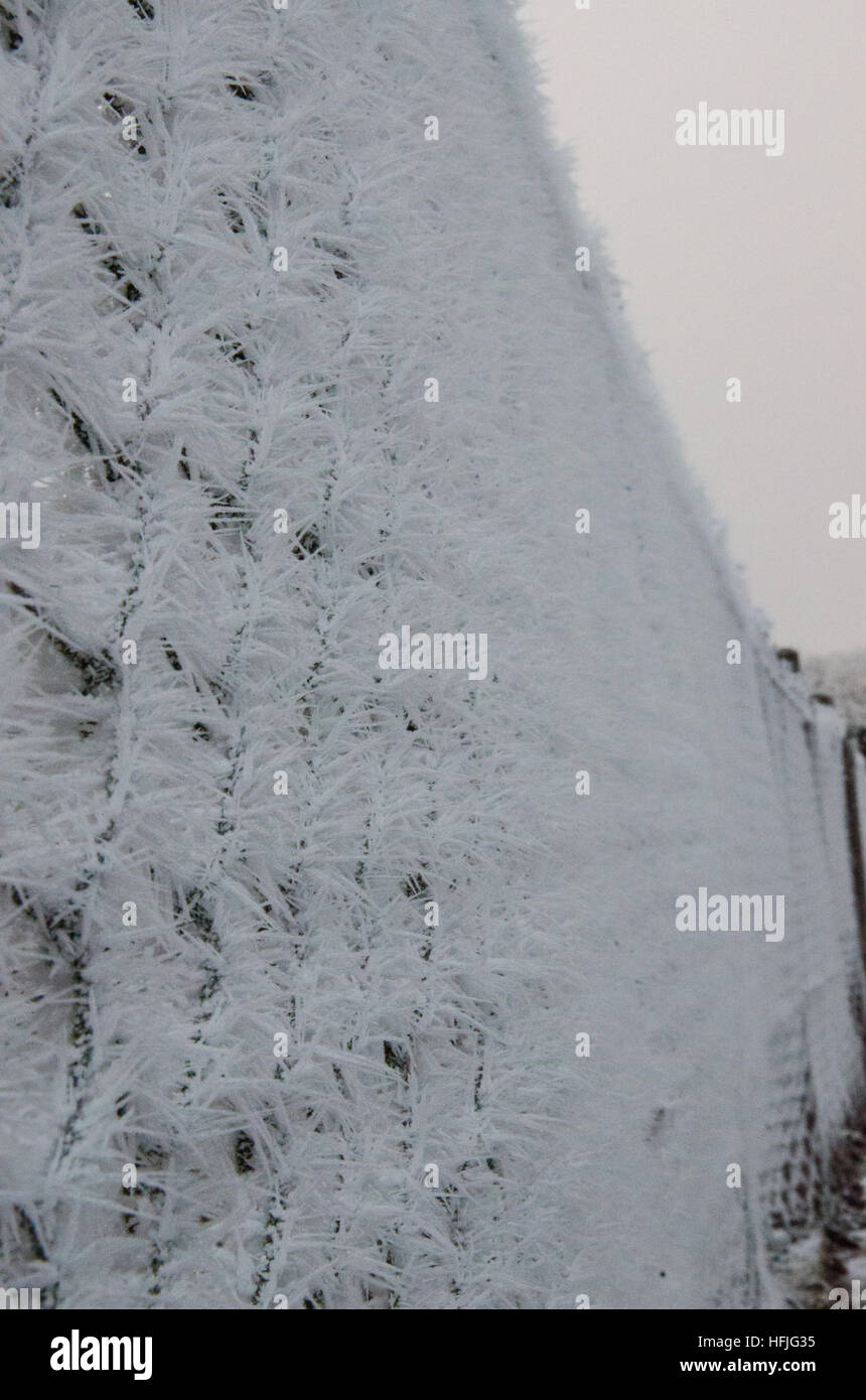 Frozen wire fence Stock Photo - Alamy