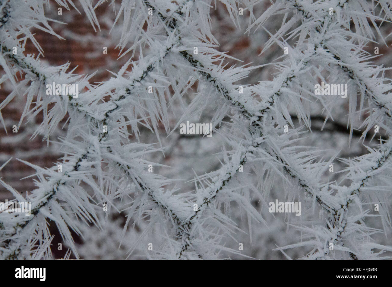 Frozen wire fence Stock Photo - Alamy