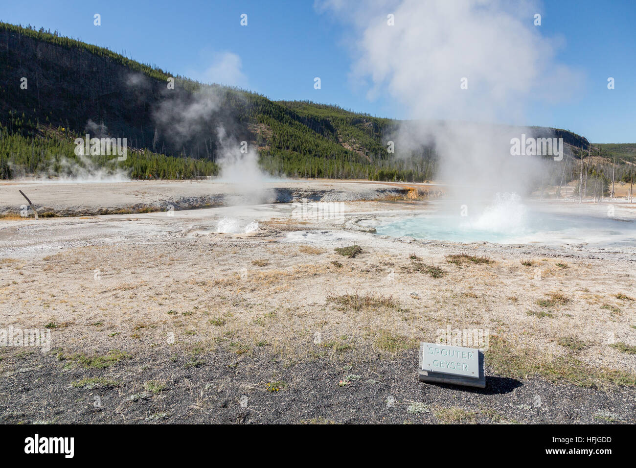 Spouter Geyser Black Sands Basin Stock Photo - Alamy