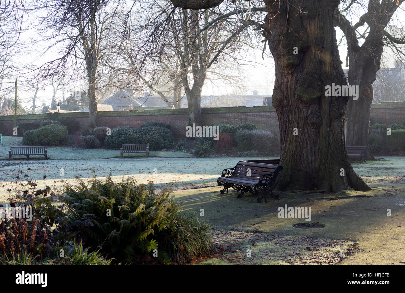Warwick winter public garden uk hi-res stock photography and images - Alamy