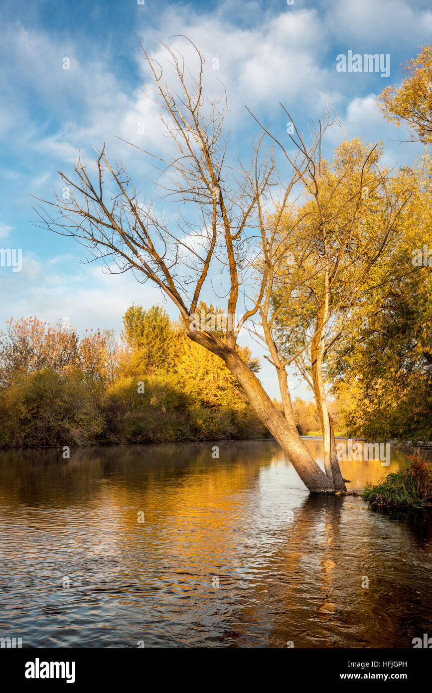 Boise river hi-res stock photography and images - Alamy