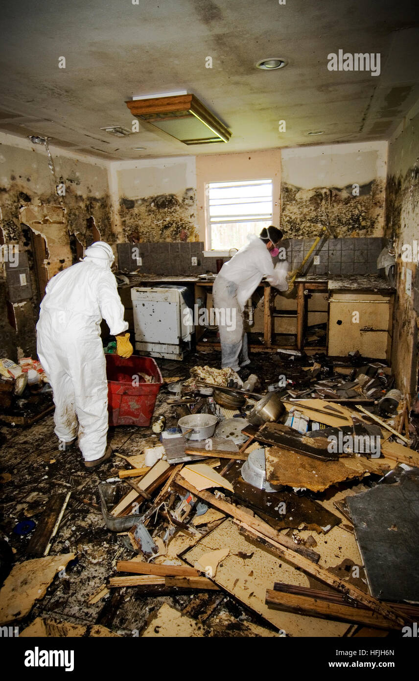 Volunteers in protective gear strip heavily molded drywall and contents ...
