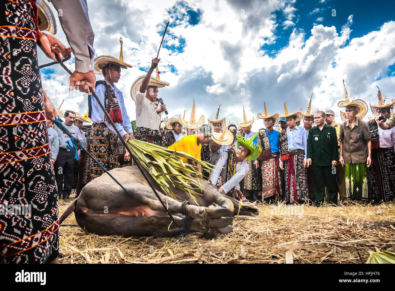 Buffalo Slaughter Stock Photos & Buffalo Slaughter Stock Images - Alamy