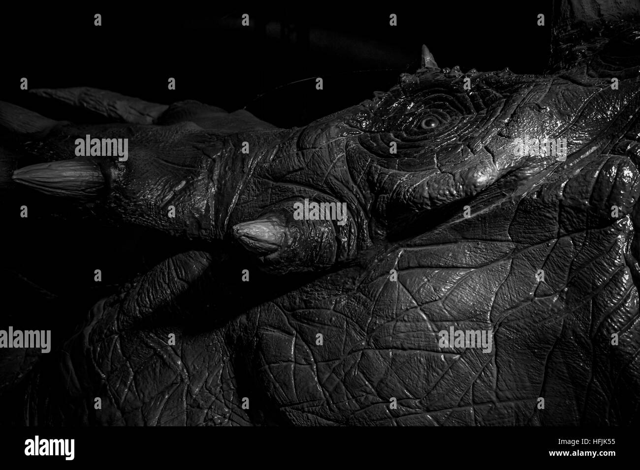 Tyrannosaurus rex dinosaur tusks, long, sharp teeth Stock Photo - Alamy