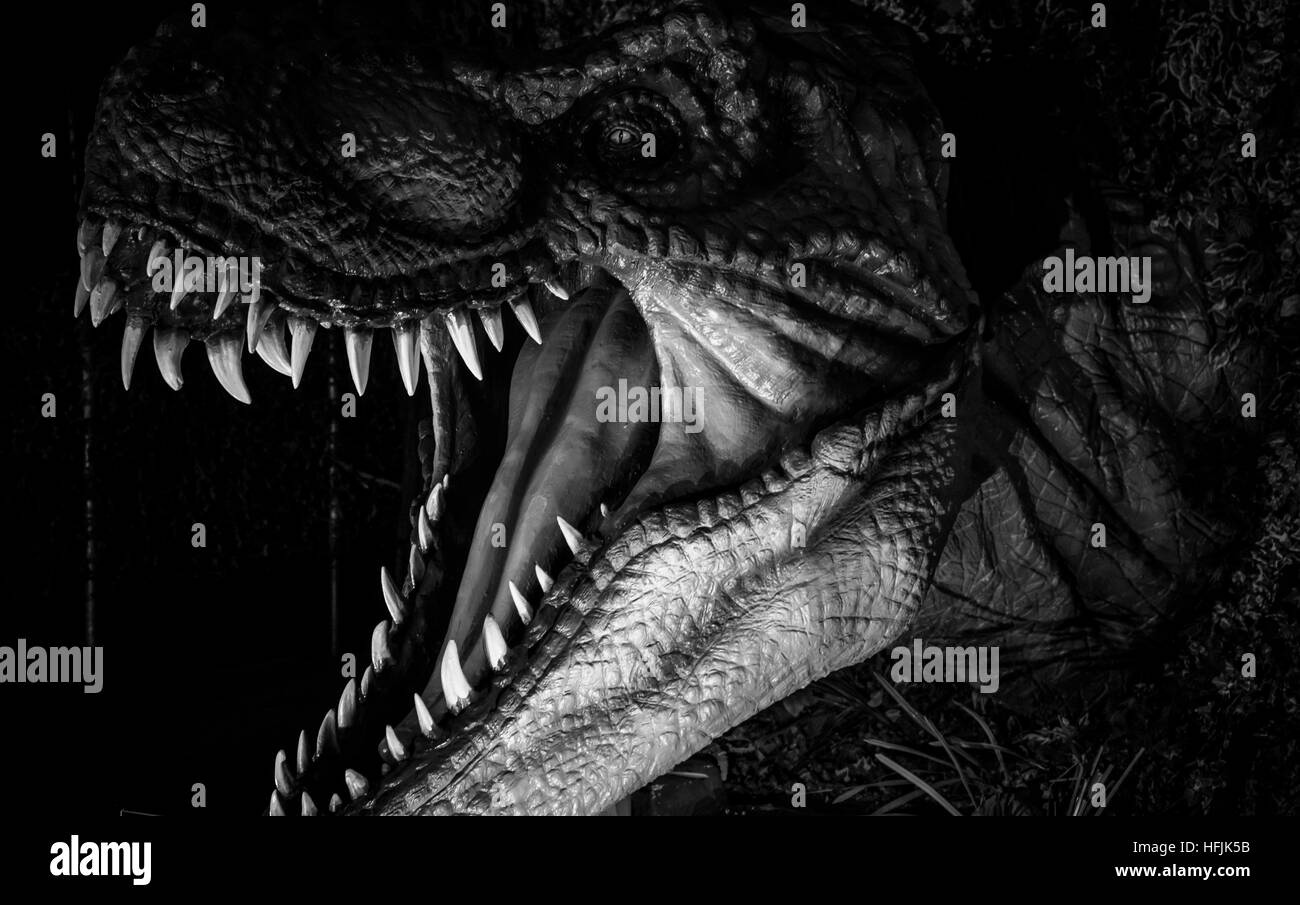 Tyrannosaurus rex dinosaur tusks, long, sharp teeth Stock Photo - Alamy