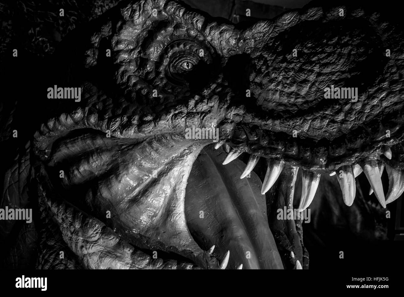 Tyrannosaurus rex dinosaur tusks, long, sharp teeth Stock Photo - Alamy