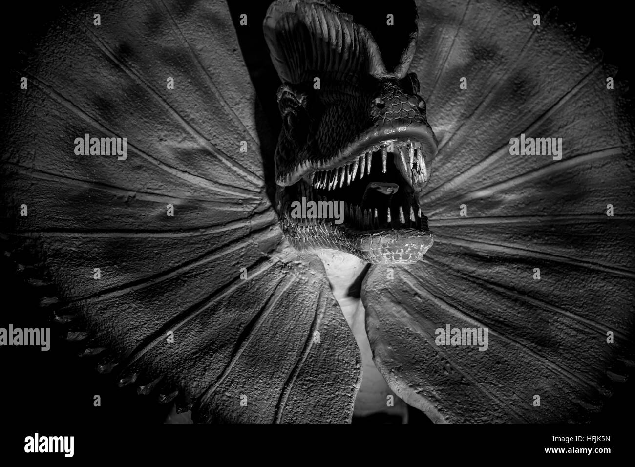 Tyrannosaurus rex dinosaur tusks, long, sharp teeth Stock Photo - Alamy