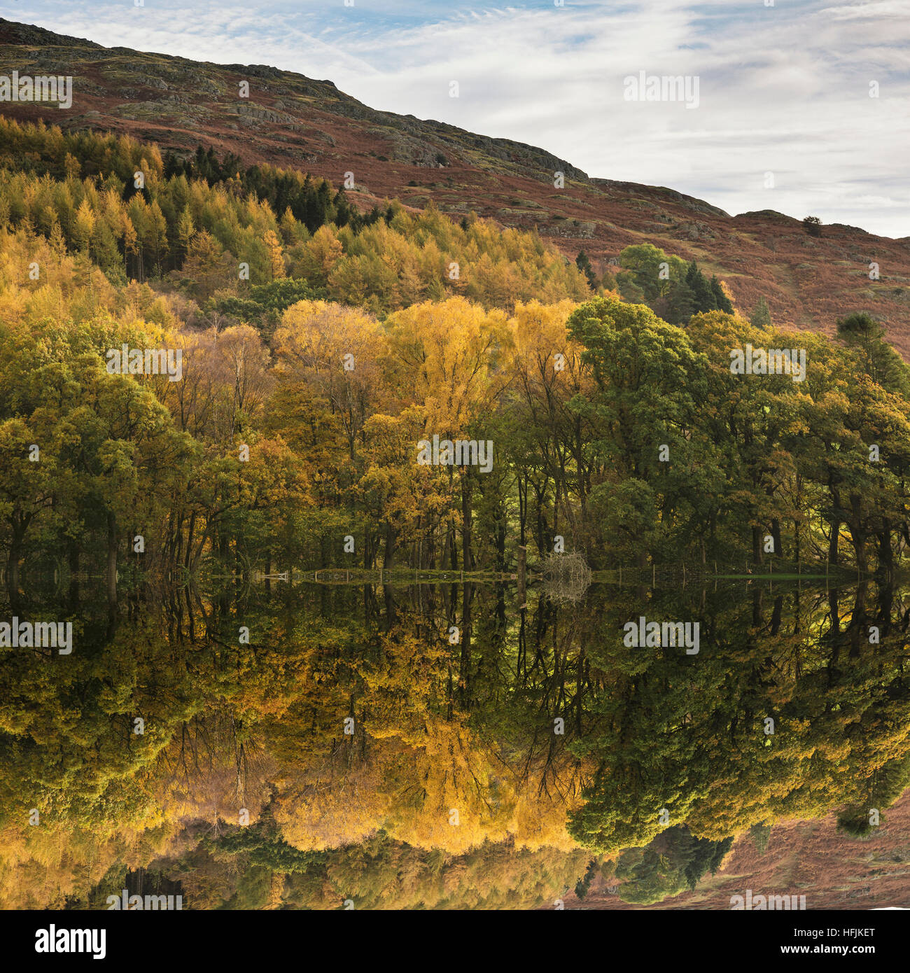 Lake district autumn hi-res stock photography and images - Alamy