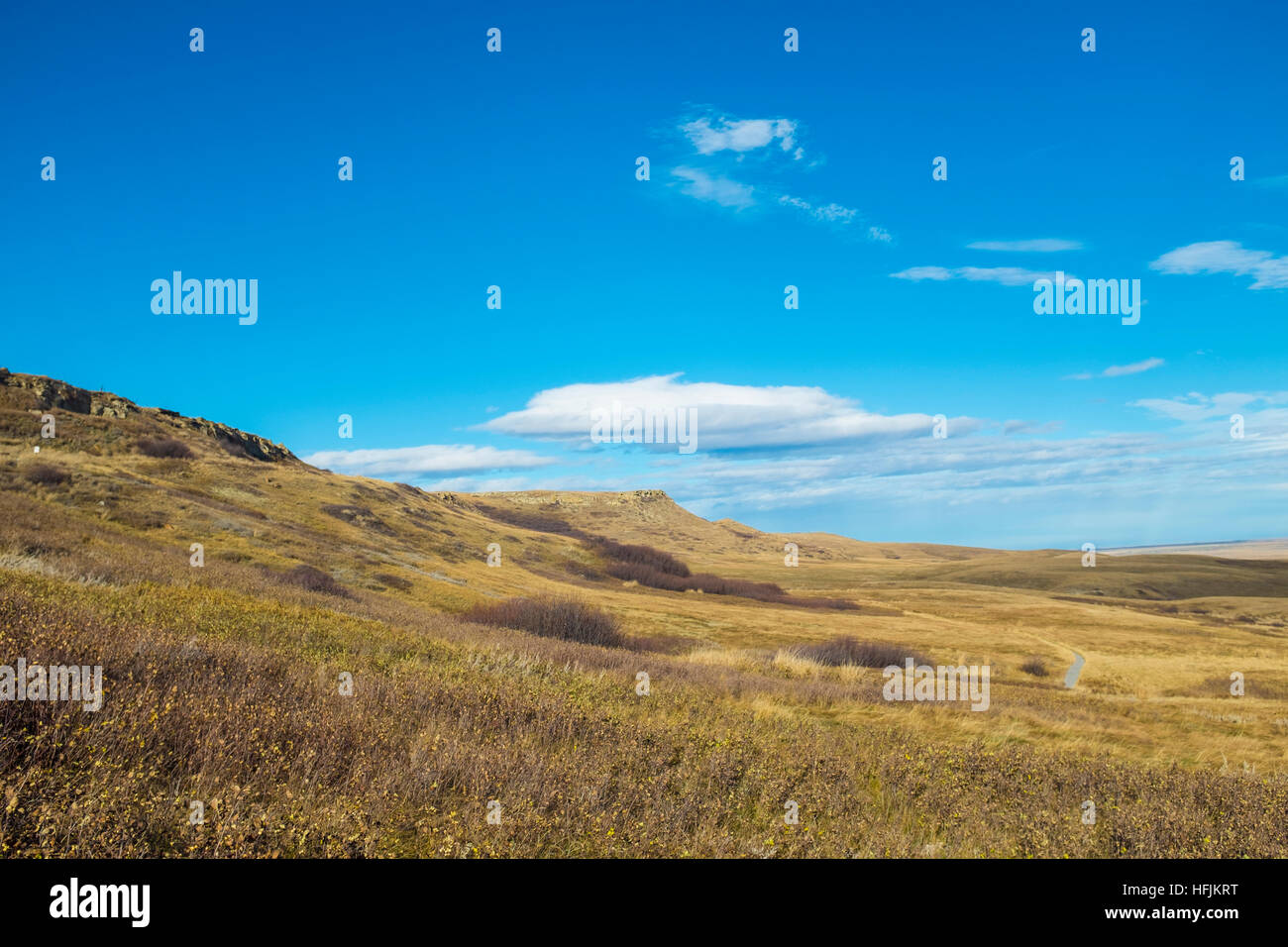 head smashed in Stock Photo - Alamy