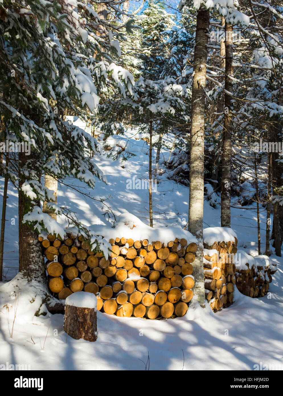 Wood pile hi-res stock photography and images - Alamy