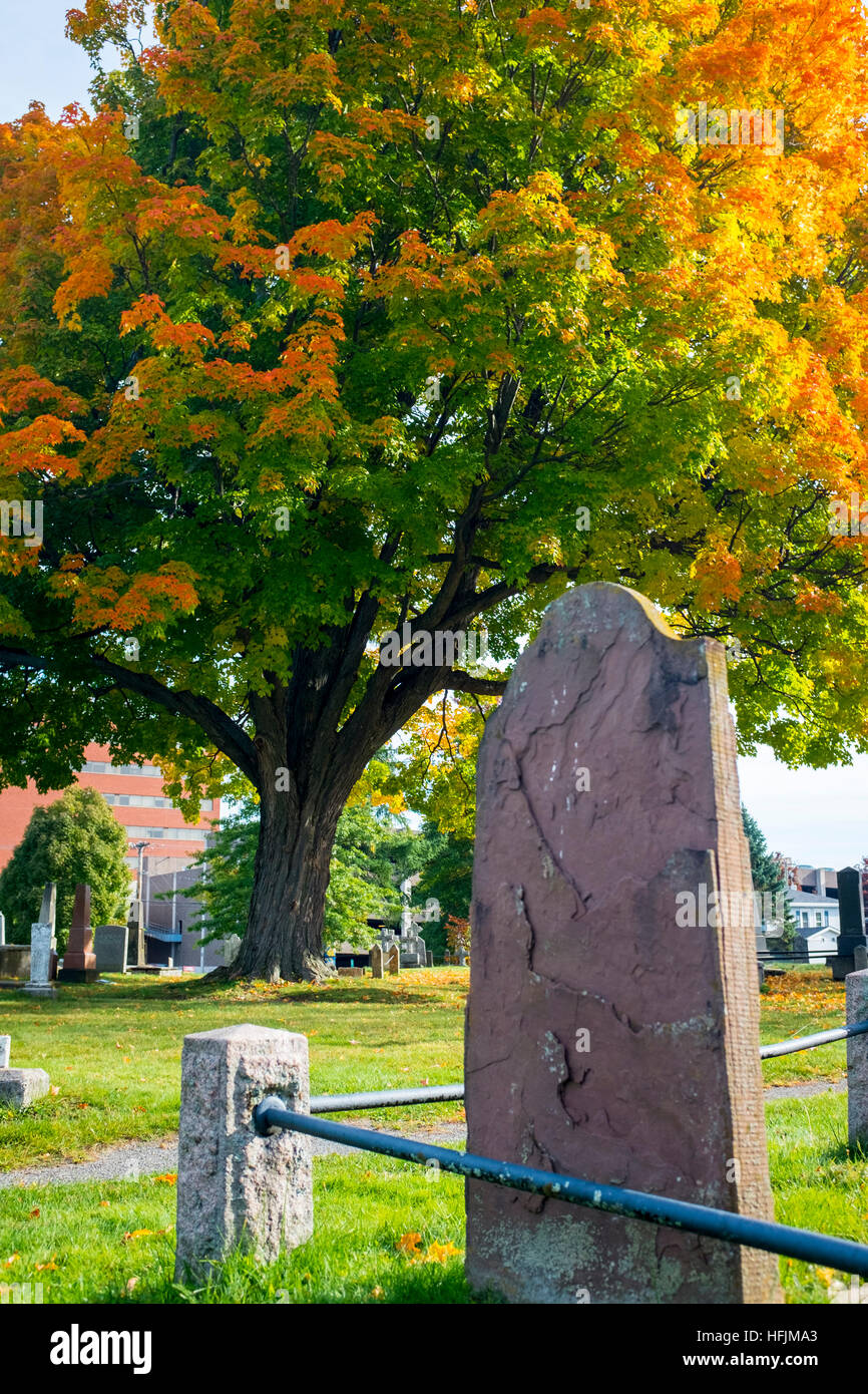 old burial ground Stock Photo - Alamy