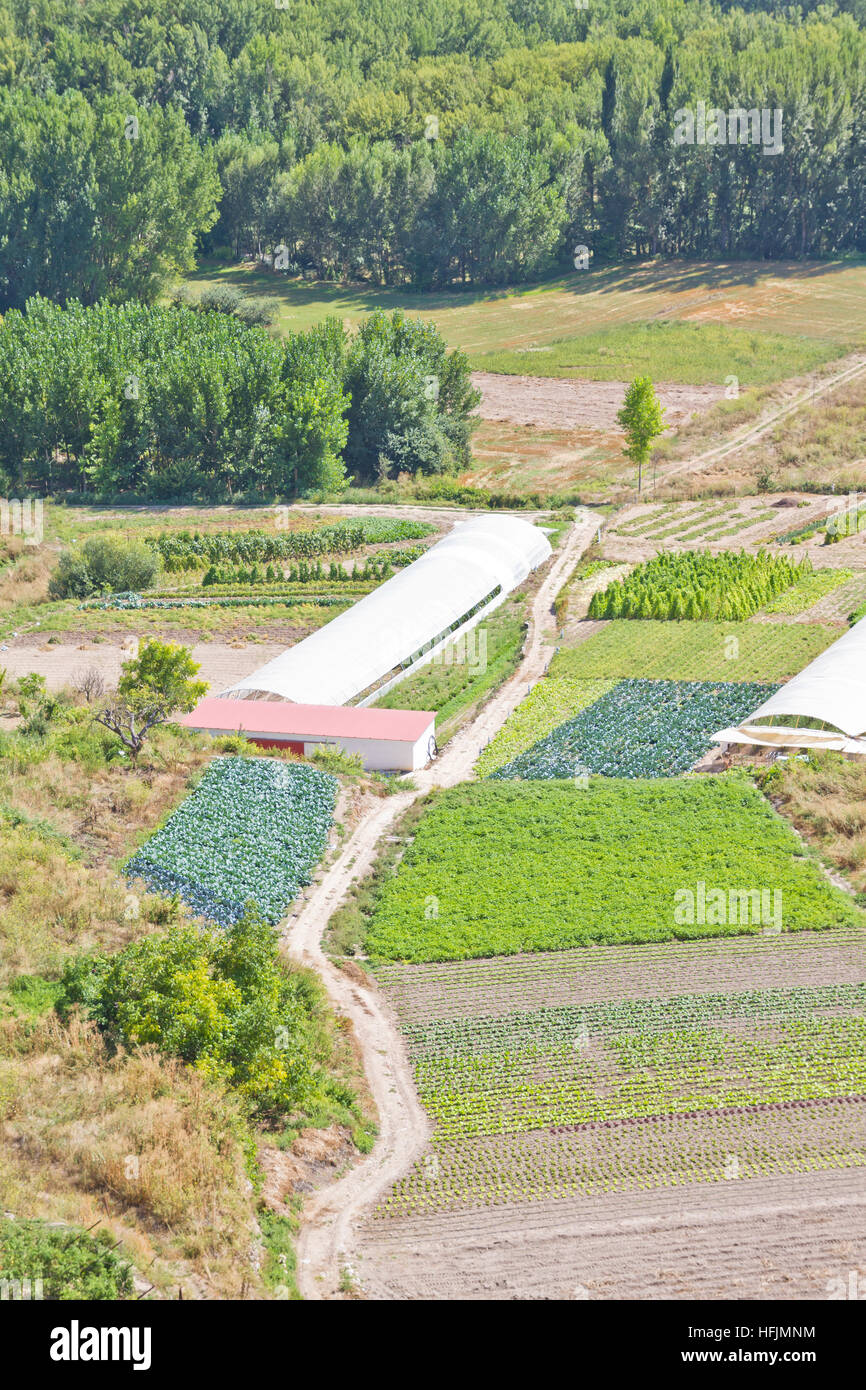 Cultivated land in a rural landscape, Brihuega, Spain Stock Photo - Alamy