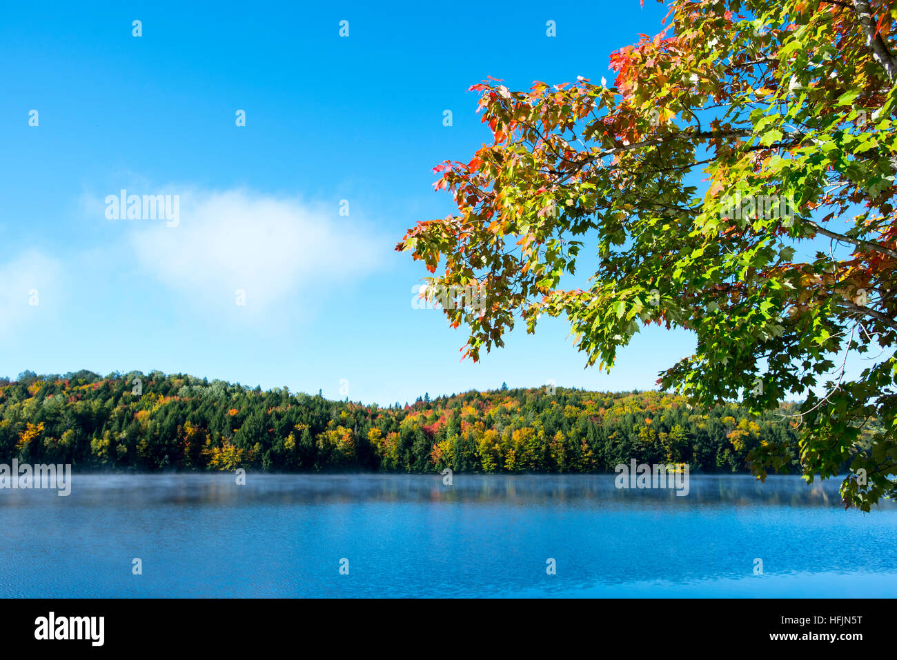 st. john river autumn colours Stock Photo - Alamy