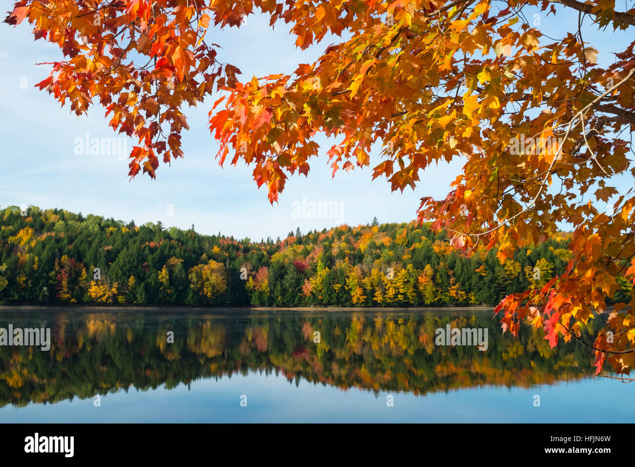st. john river autumn colours Stock Photo - Alamy