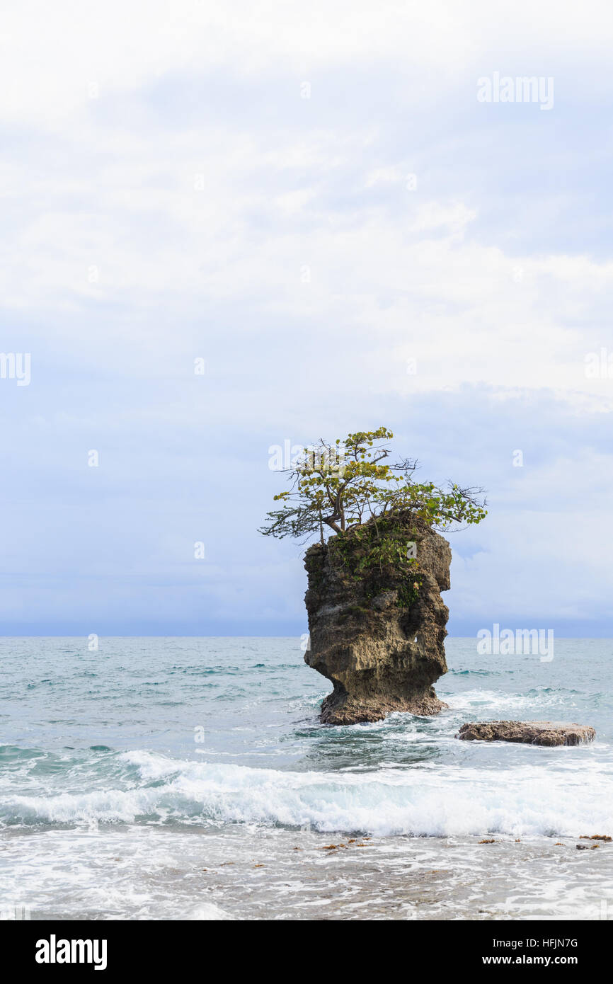 Rock formation at Manzanillo beach Costa Rica caribbean coast Stock ...
