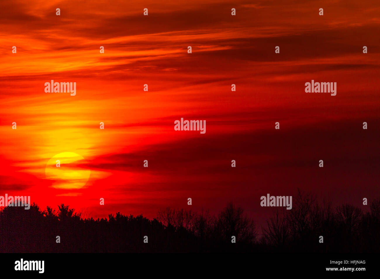 Colorful sunrise over trees in Wisconsin Stock Photo - Alamy
