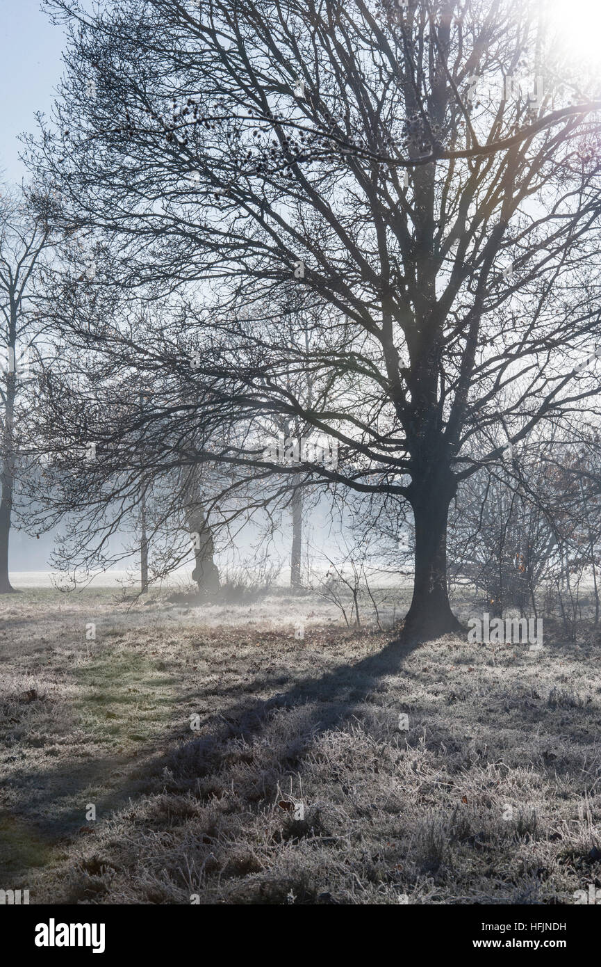 Frosty scenes hi-res stock photography and images - Alamy