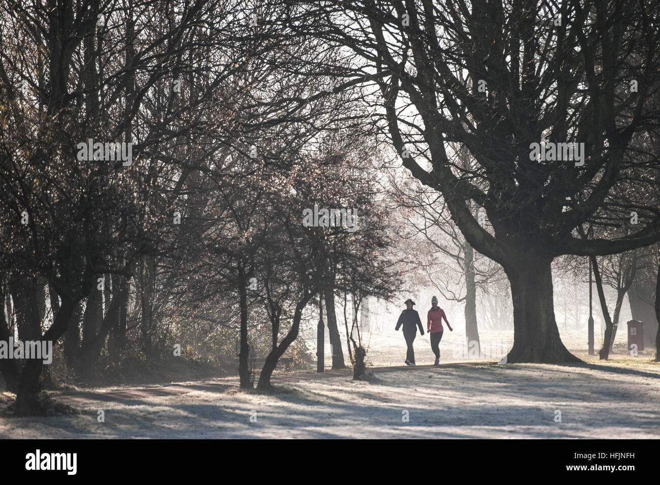 Dog Walking on a freezing cold, frosty, misty day Stock Photo - Alamy