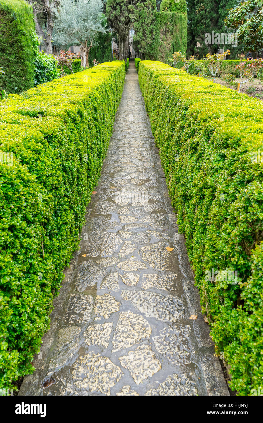 Labyrinth of green shrubs in the city of Valldemossa in the Balearic ...