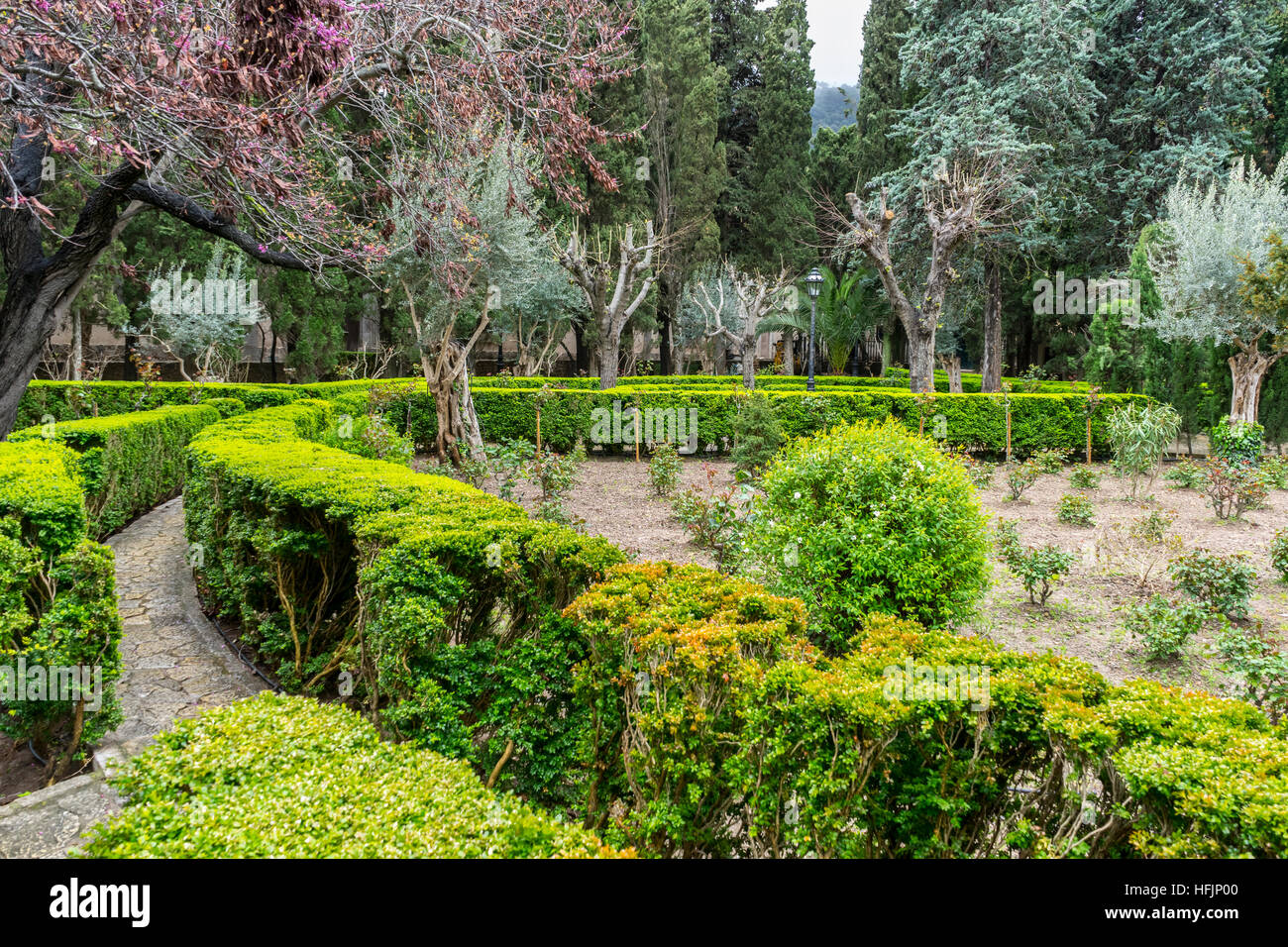 Labyrinth of green shrubs in the city of Valldemossa in the Balearic ...