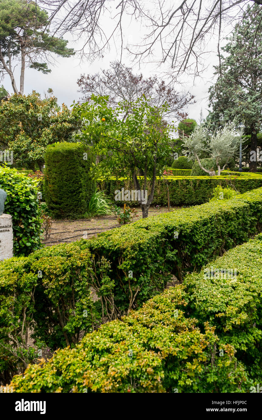 Labyrinth of green shrubs in the city of Valldemossa in the Balearic ...