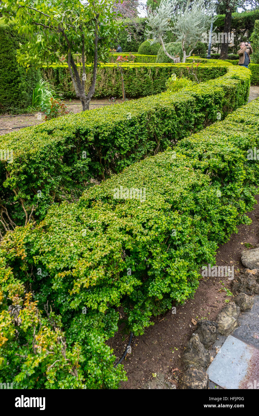 Labyrinth of green shrubs in the city of Valldemossa in the Balearic ...