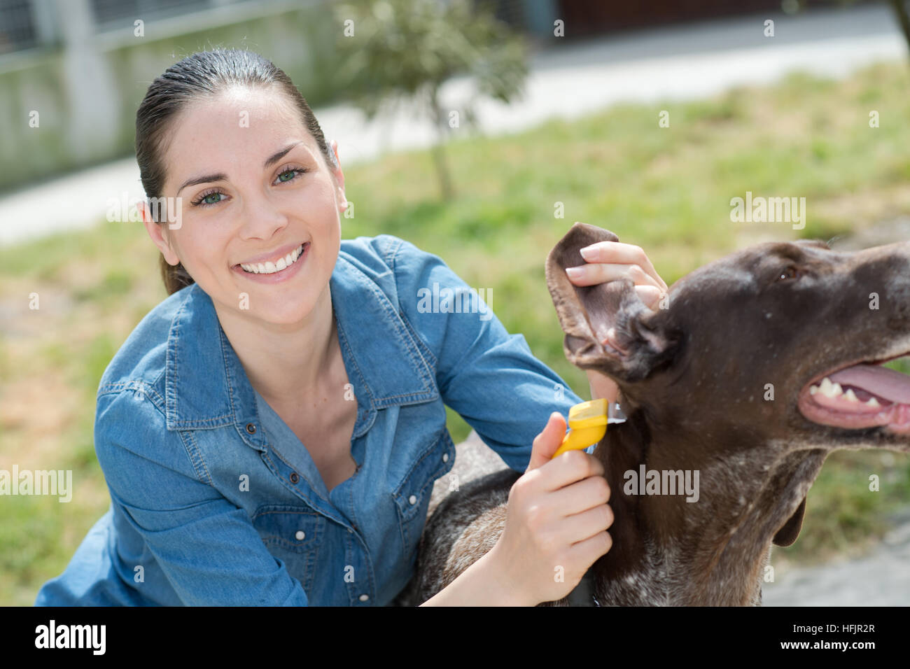 Close up woman stroking dog hi-res stock photography and images - Alamy