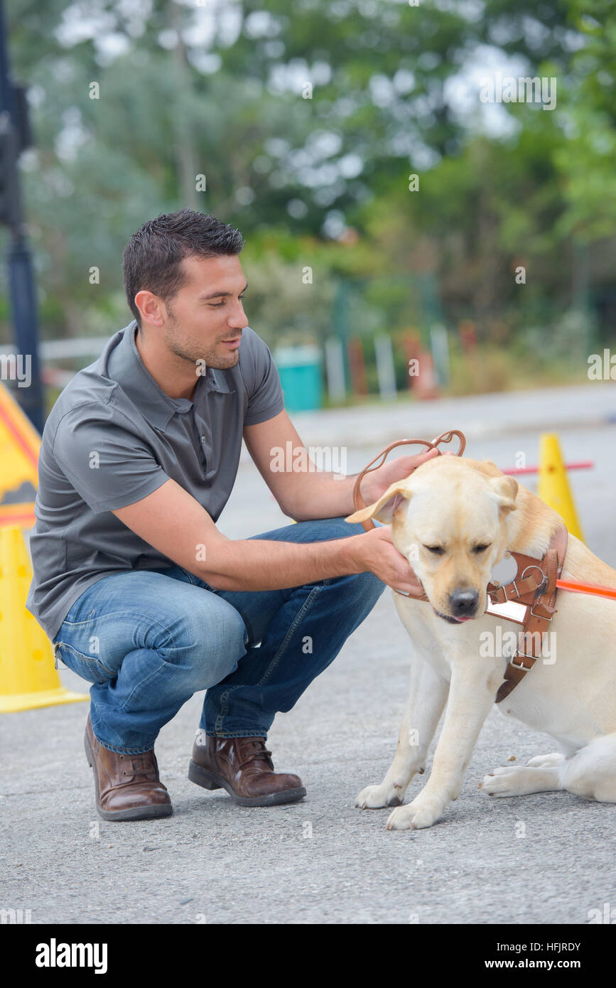 Man training dog Stock Photo - Alamy