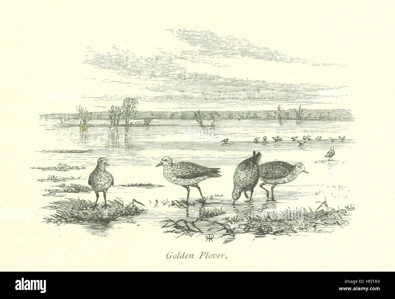 This image, taken from page 225 of 'Life on the Upper Thames ...
