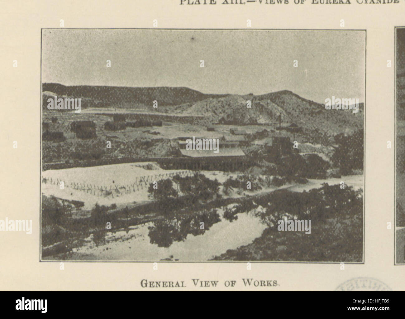 This work provides a detailed examination of the cyanide process used ...