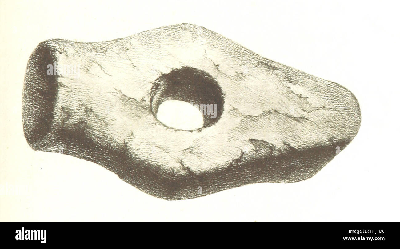 Collection of field notes on geology, archaeology, botany, ornithology ...