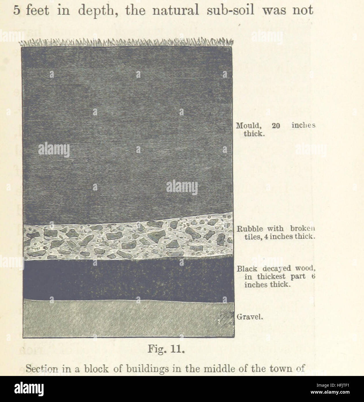 The formation of vegetable mould hi-res stock photography and images ...