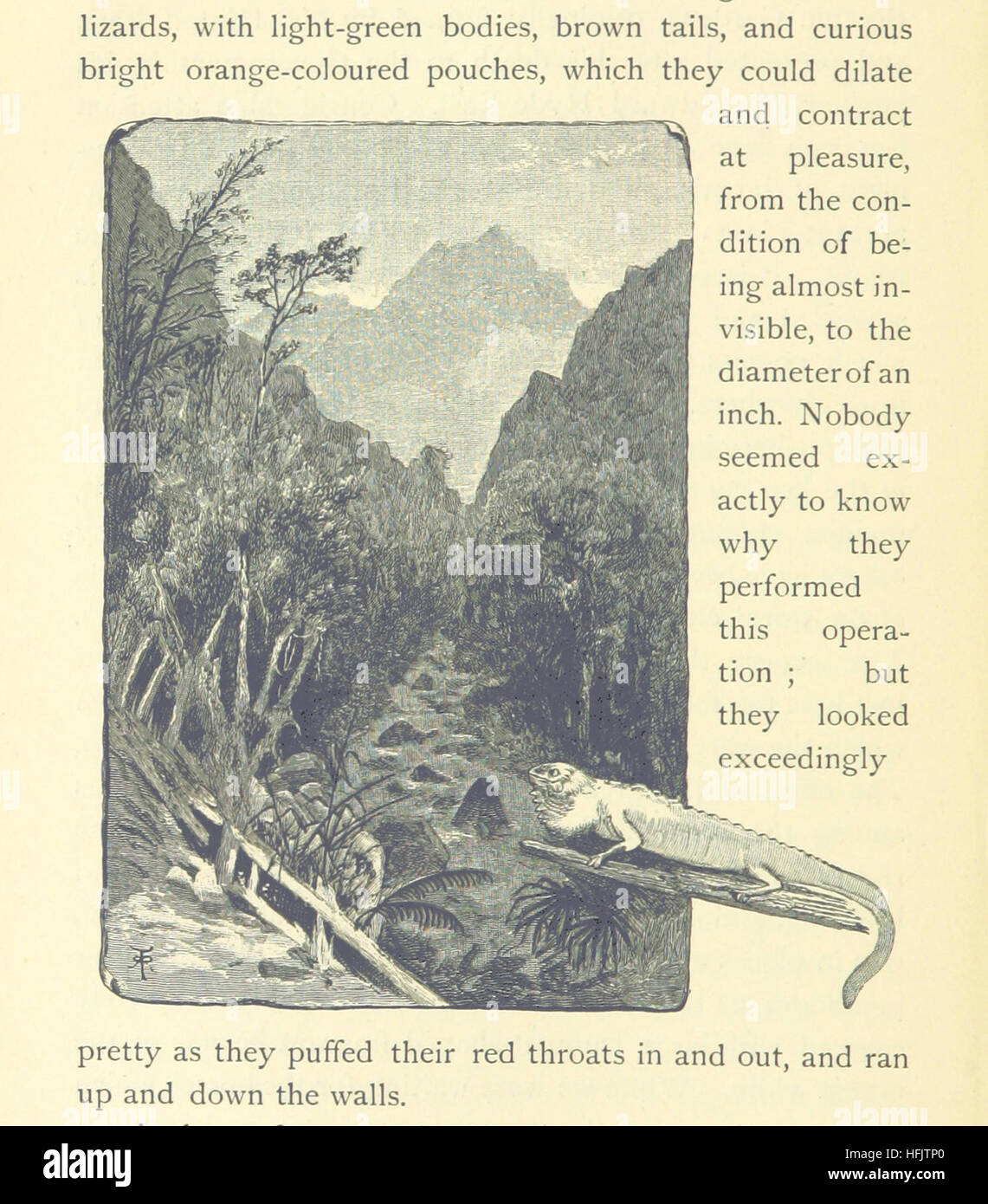 A maritime journey account detailing experiences across tropical waters ...