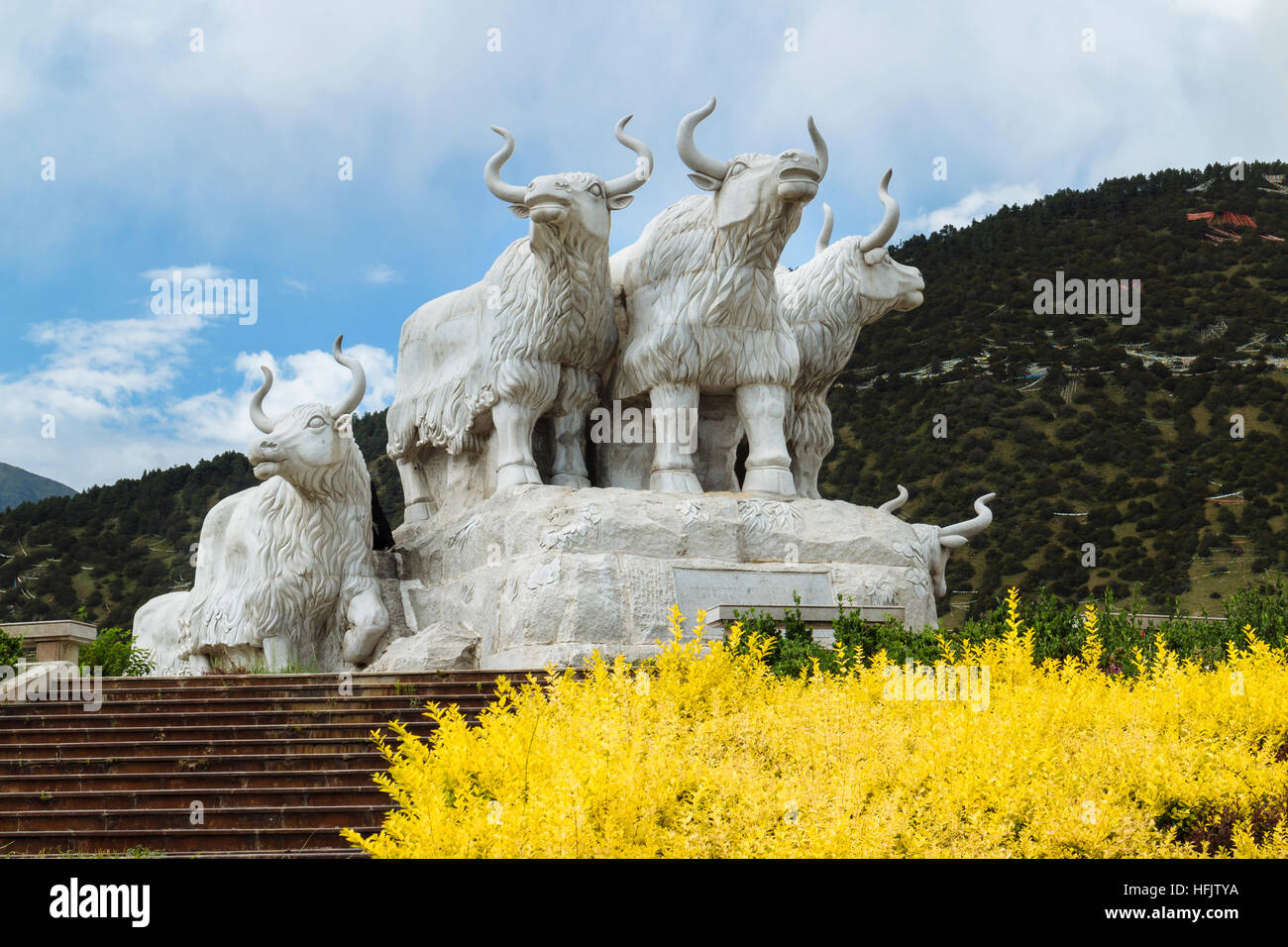 Tibet, China - Close up of the statue of Yak Stock Photo - Alamy