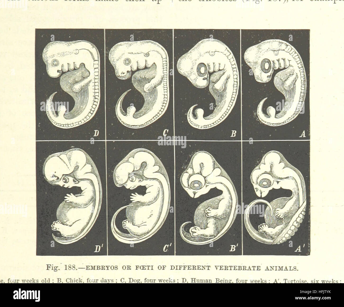 Human formed landscapes hi-res stock photography and images - Alamy