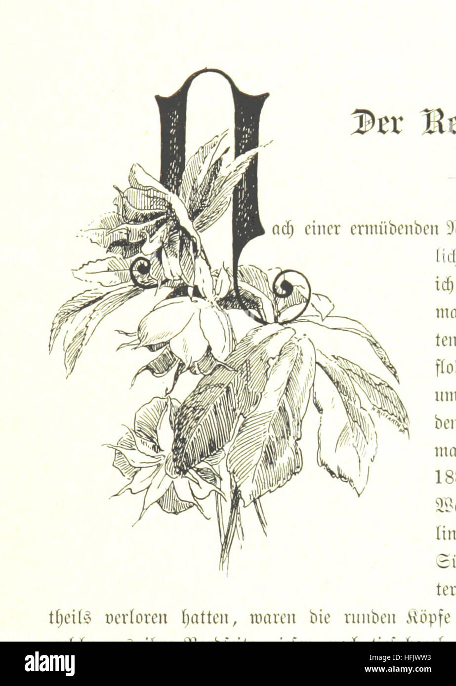 A collection of mountain hikes and wanderings in high-altitude regions ...