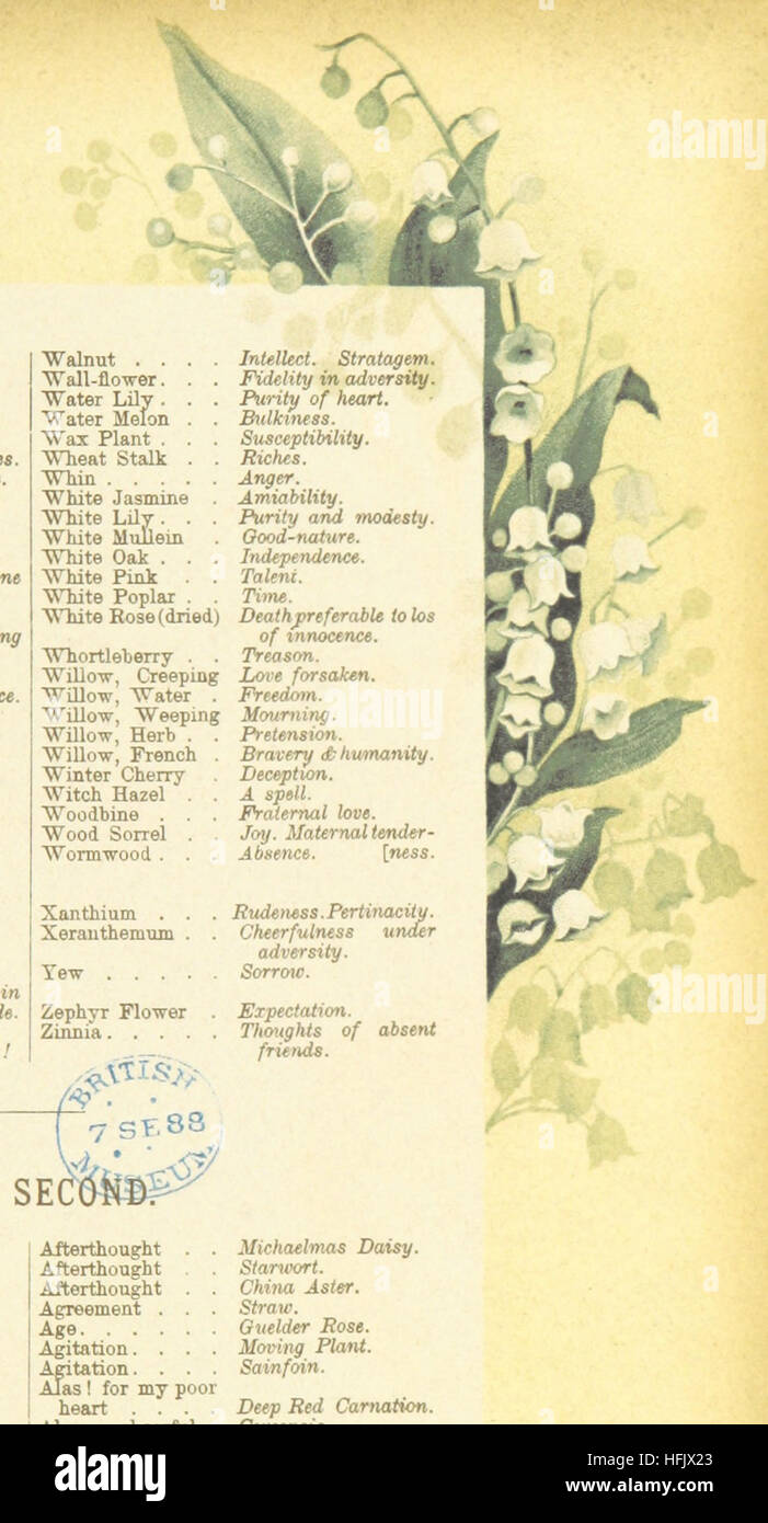 Artistic language flowers illustrations image hi-res stock photography ...