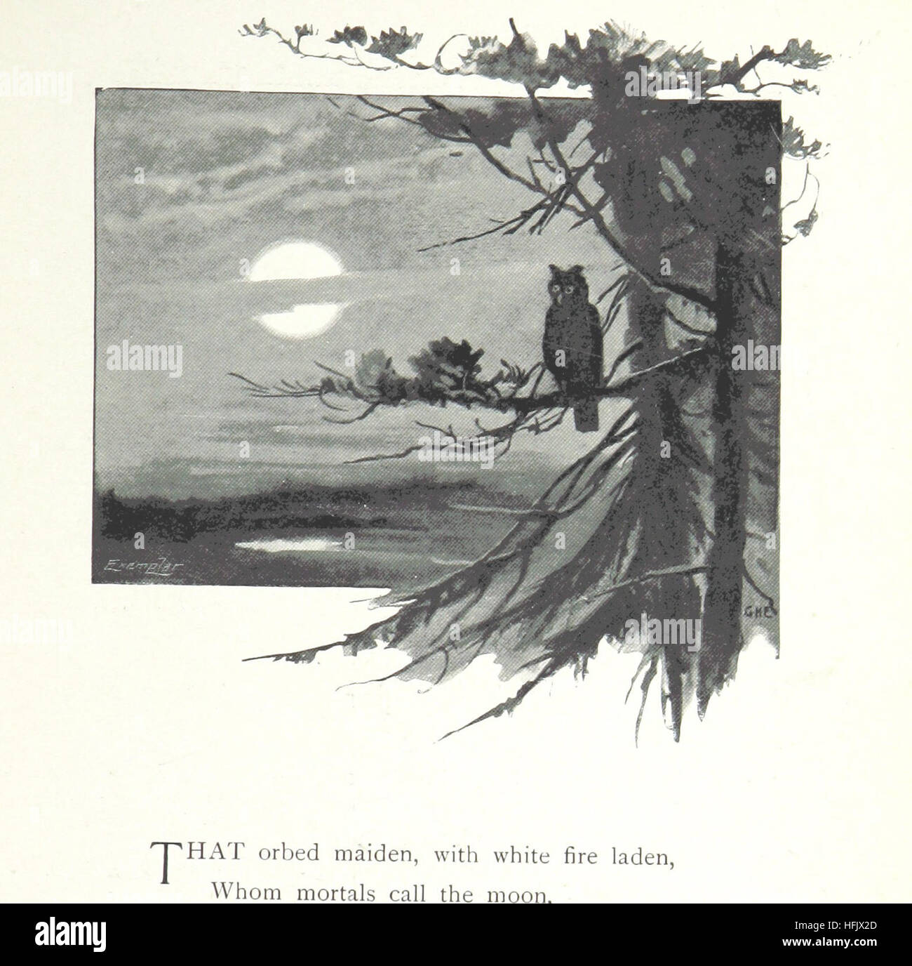 This image, from 'The Chorus of Creation,' presents nature's hymn ...