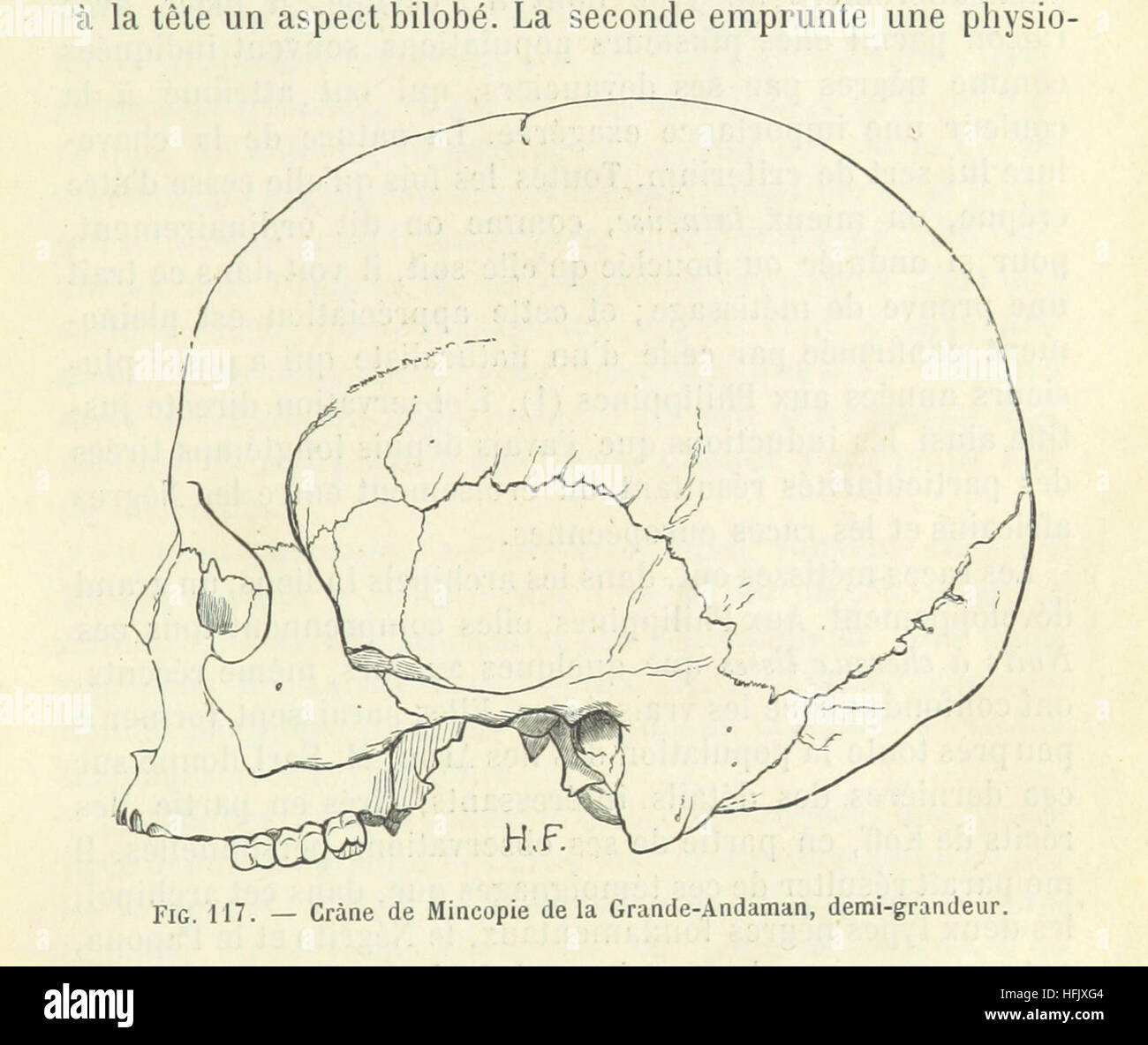 This image from 'Hommes fossiles et hommes sauvages' (Fossil Men and ...