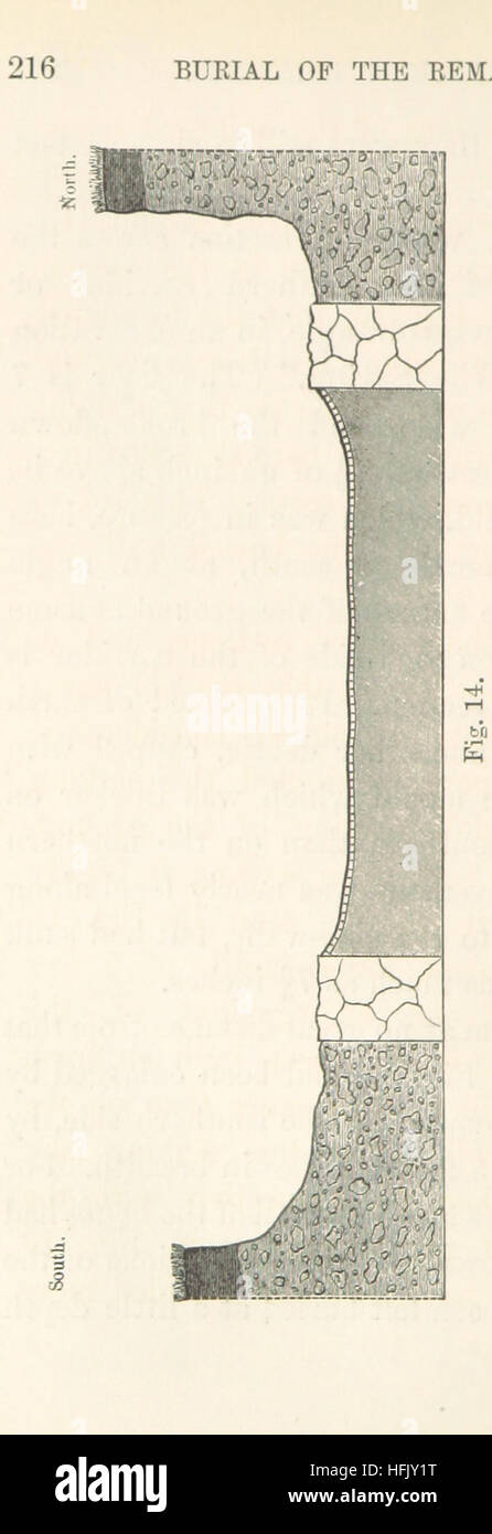 This work details the process of vegetable mould formation through the ...