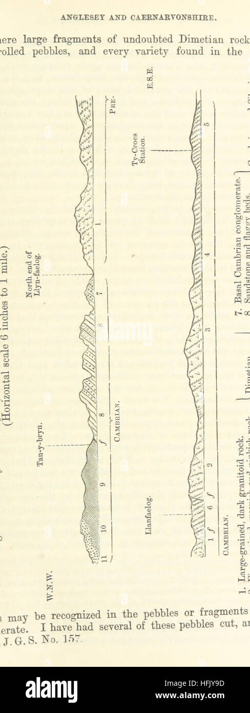 A geological study focusing on Cambrian conglomerates and their ...