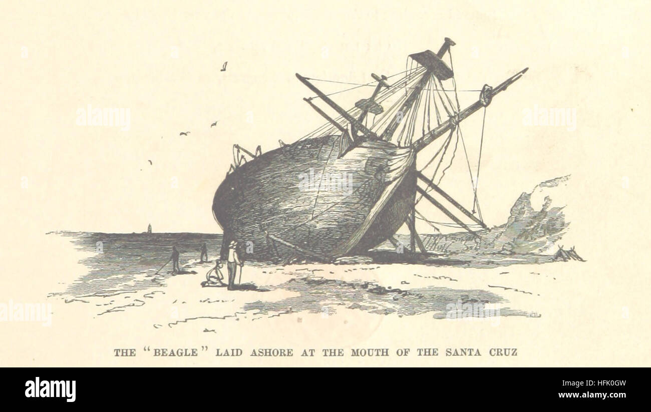 Darwin beagle map hi-res stock photography and images - Alamy