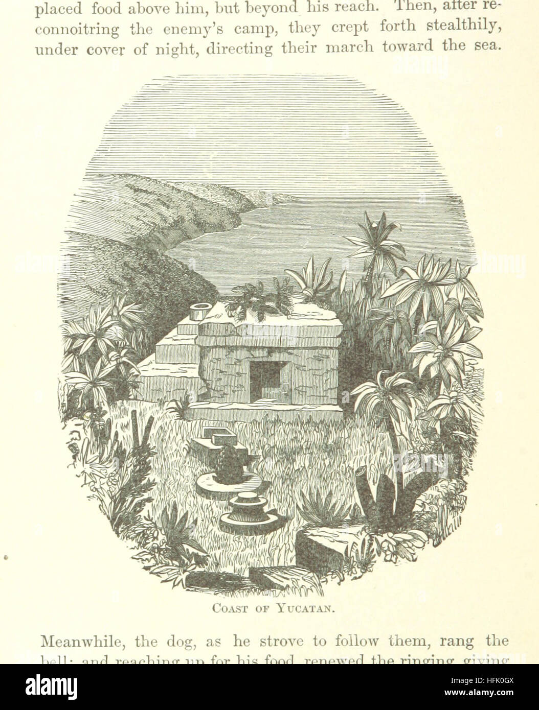 A comprehensive history of the Mexican people, focusing on key events ...