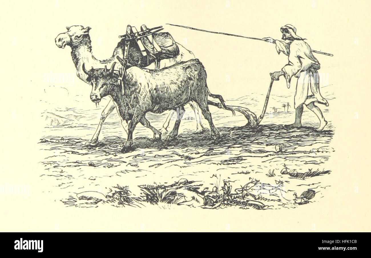 A collection of illustrated letters describing Eastern customs and ...